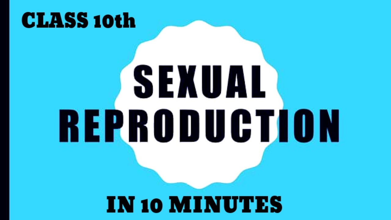 Sexual Reproduction In 10 Minutes Class 10th || 10Min Me Sexual ...