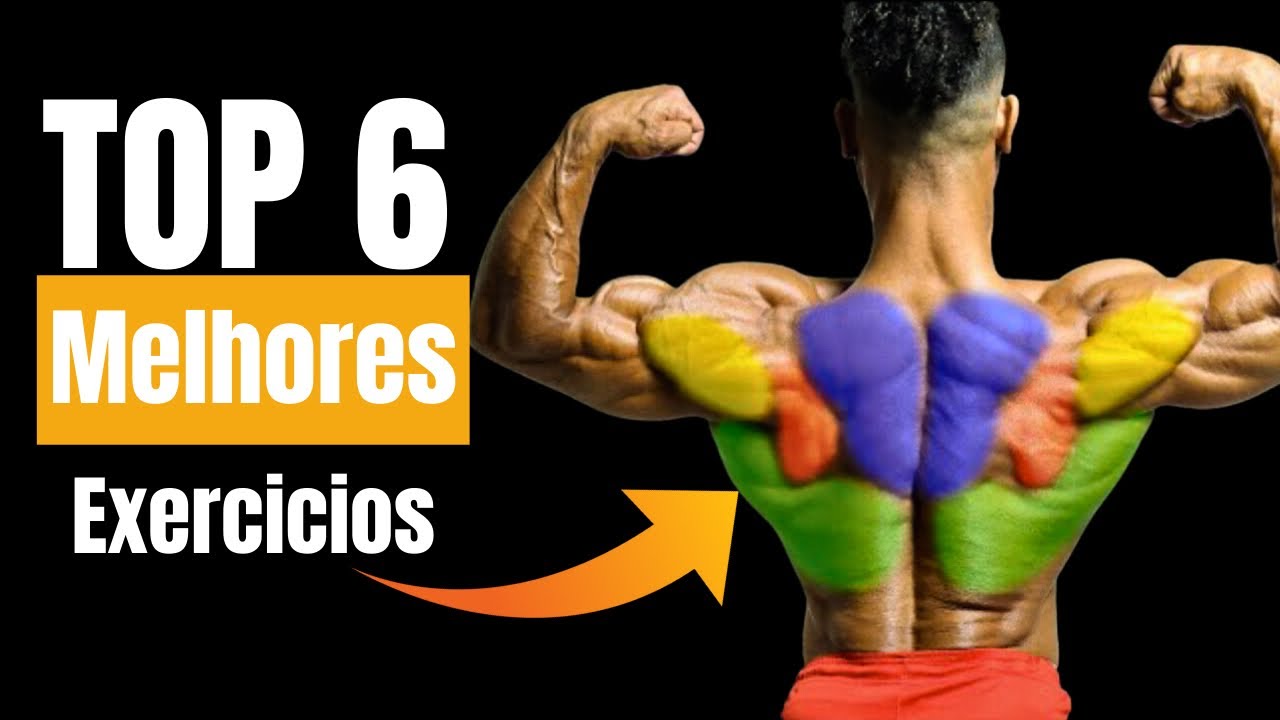 OS TOP 6 MELHORES EXERCÍCIOS PARA COSTAS *Especial Gerson Doria* - YouTube