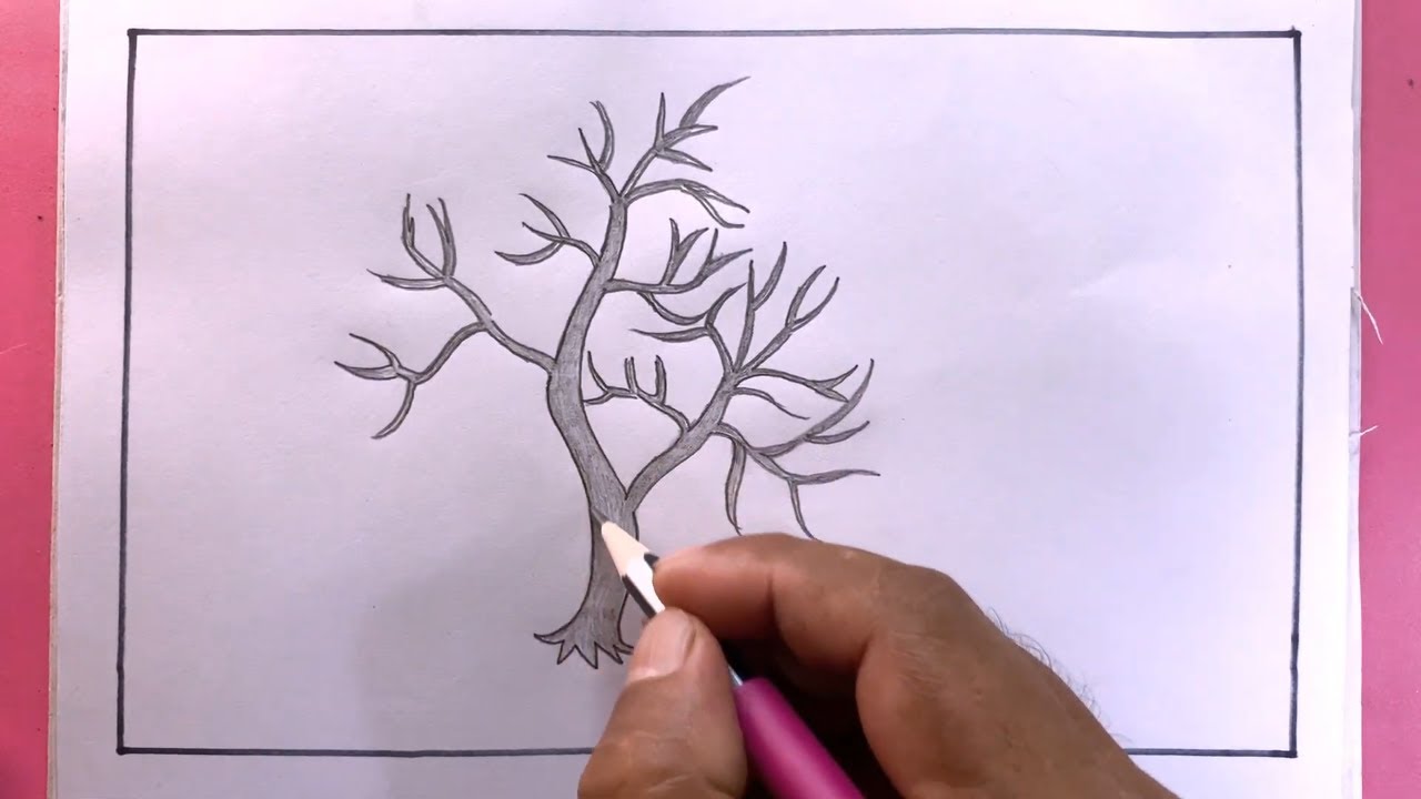 How To Draw Tree Trunk Branches Easy/Tree Trunk Branches Drawing - YouTube
