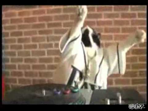 DJ Kedi