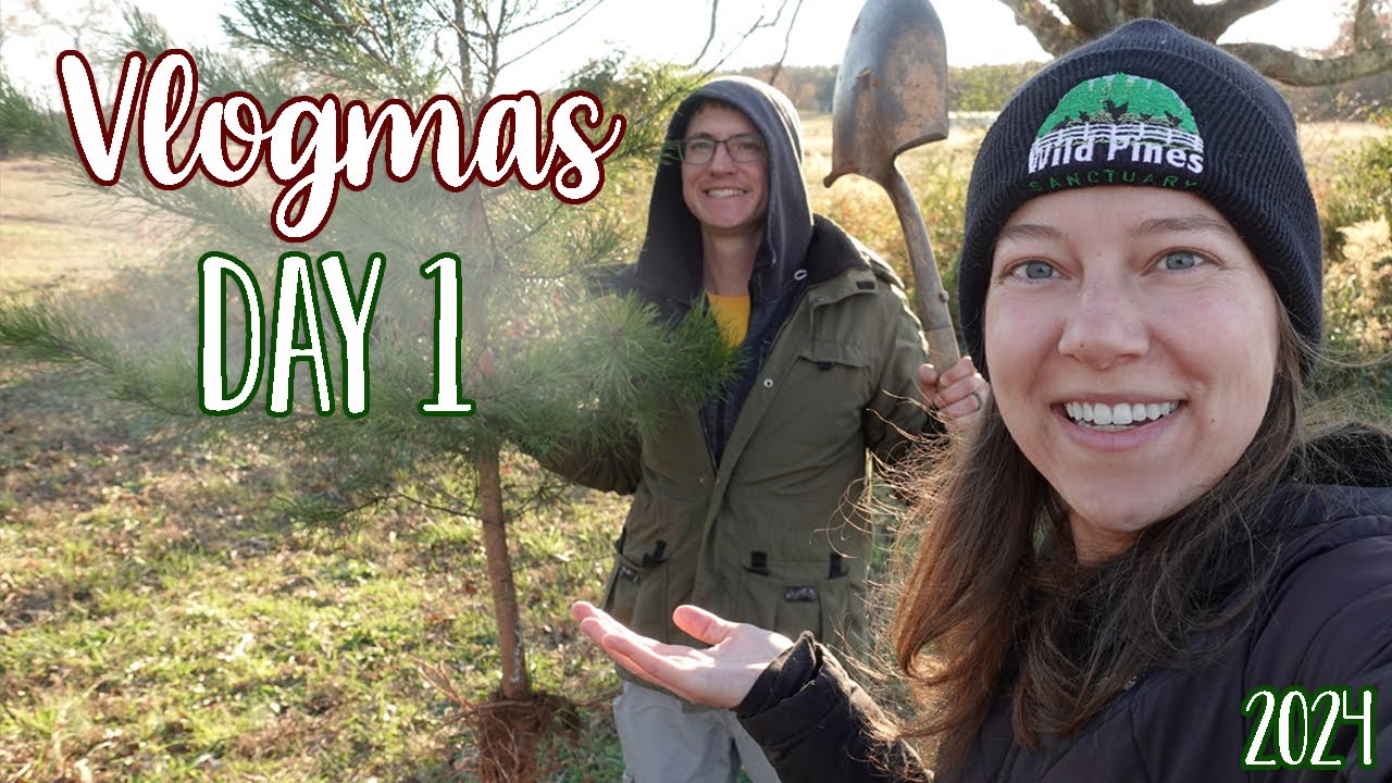 Searching for a LIVE Christmas Tree! | Vlogmas Day 1 | Ohcluck - YouTube
