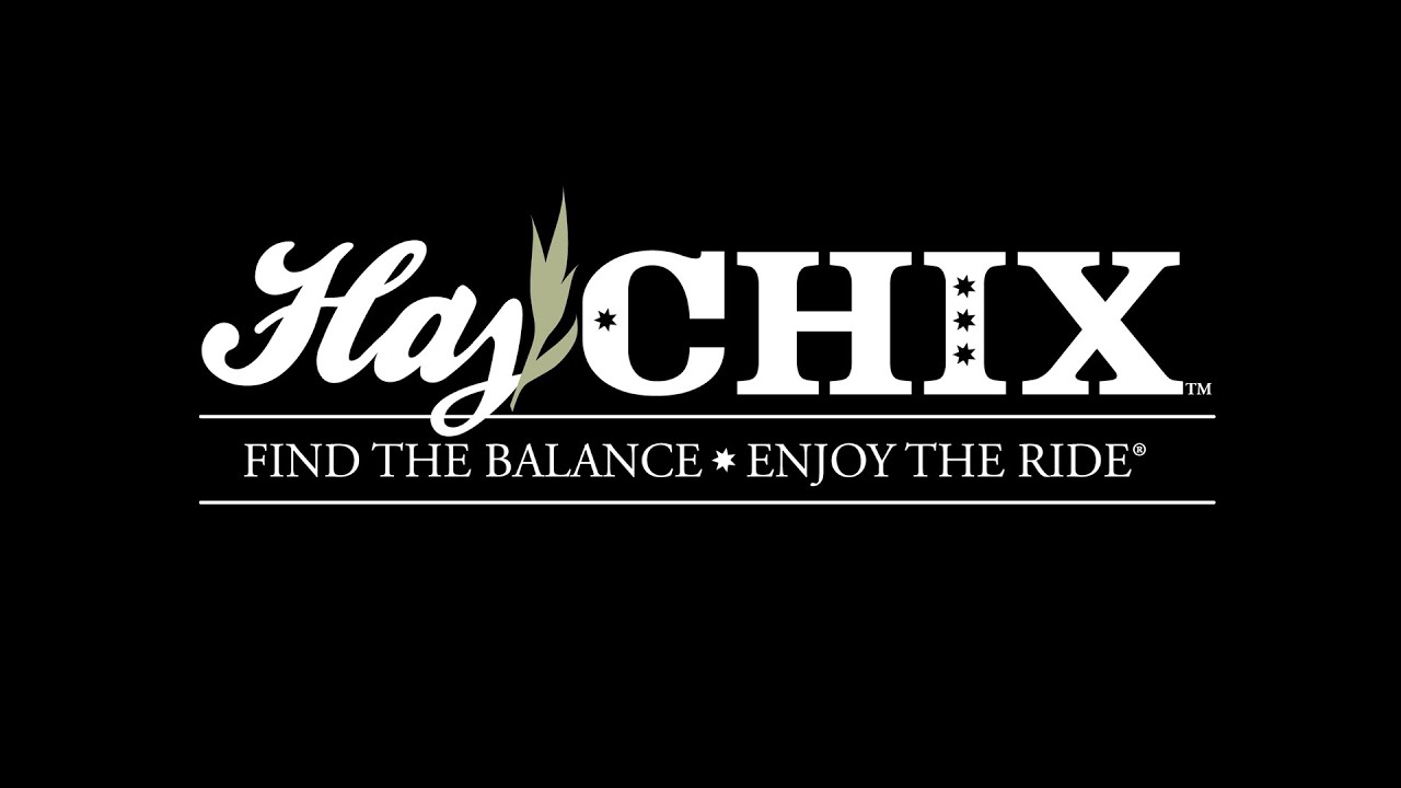 Hay Chix, It's Time to Saddle Up! - YouTube