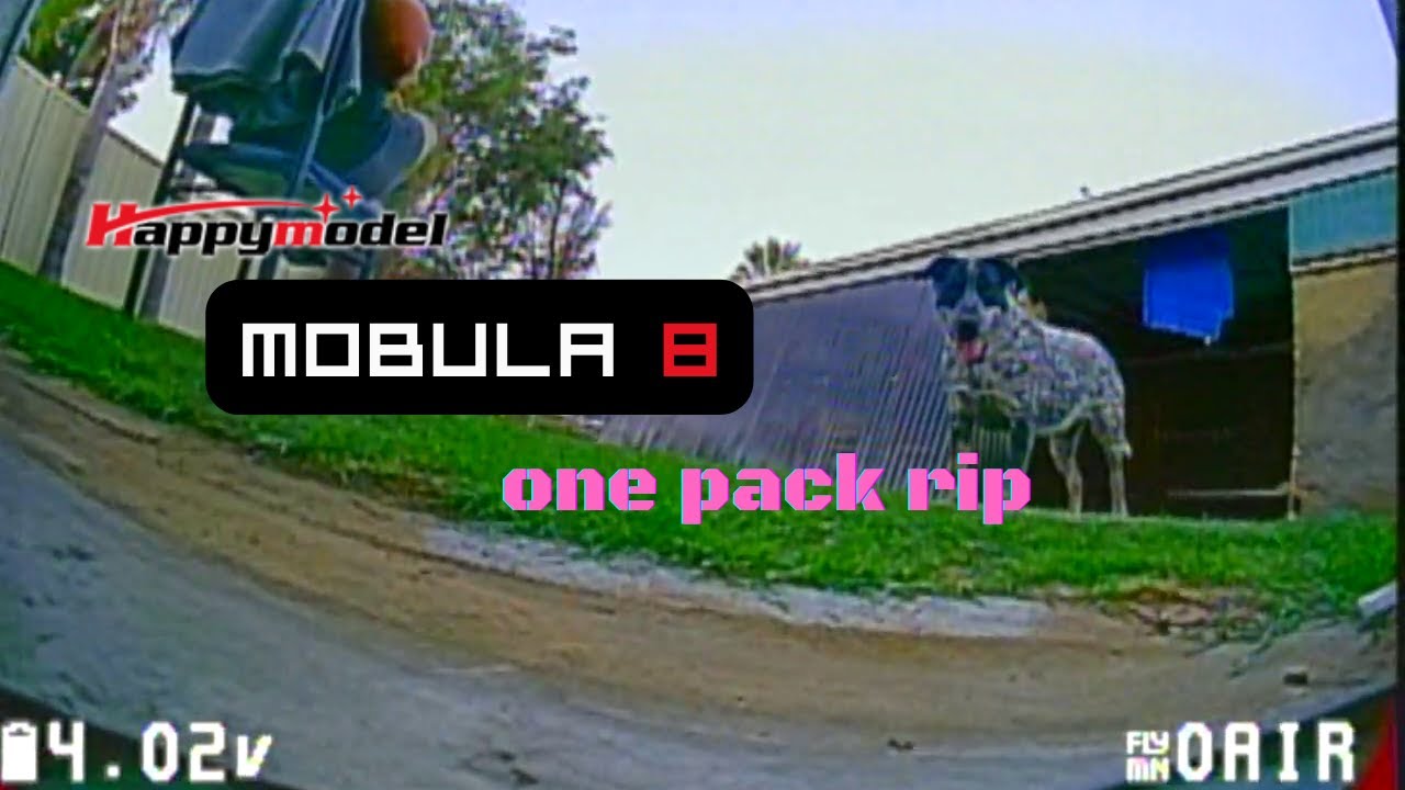 Mob8 one pack feat mochi and koda - YouTube