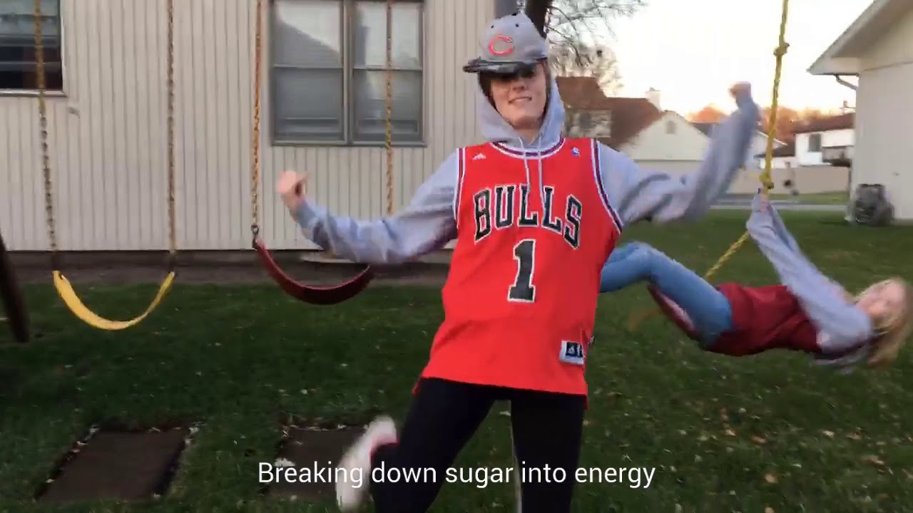 Cellular Respiration Rap - YouTube