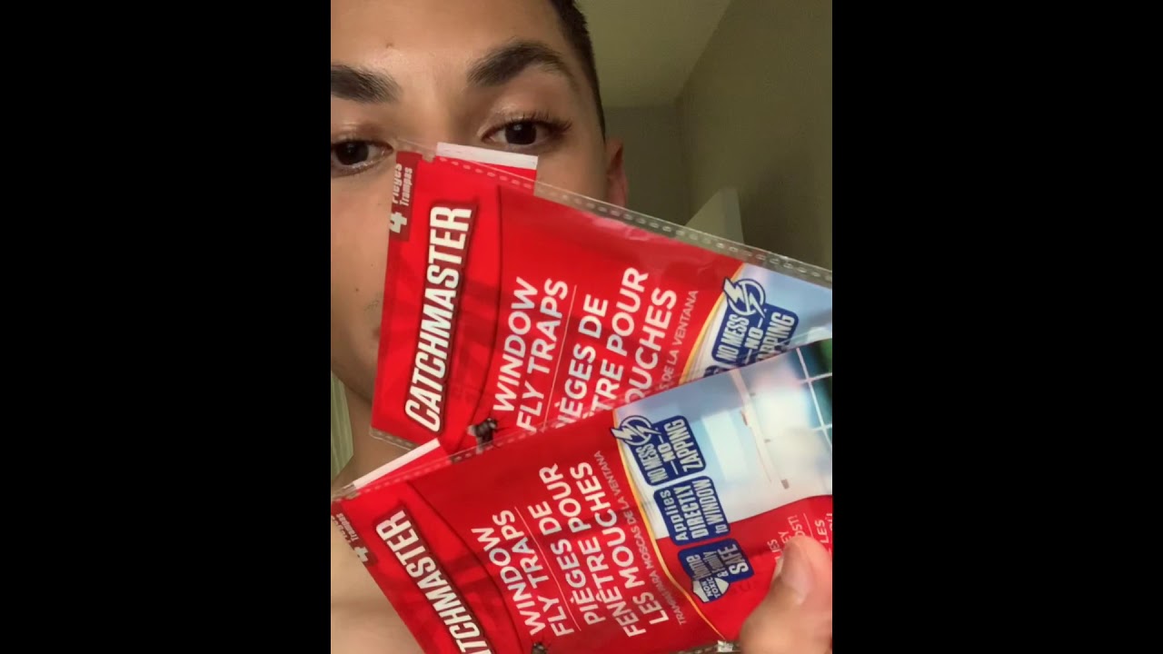 CATCHMASTER fly traps review - YouTube
