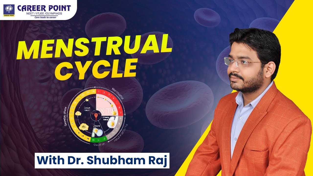 MENSTRUAL CYCLE by Dr Shubham Raj, Career Point Patna.#biology #zoology ...