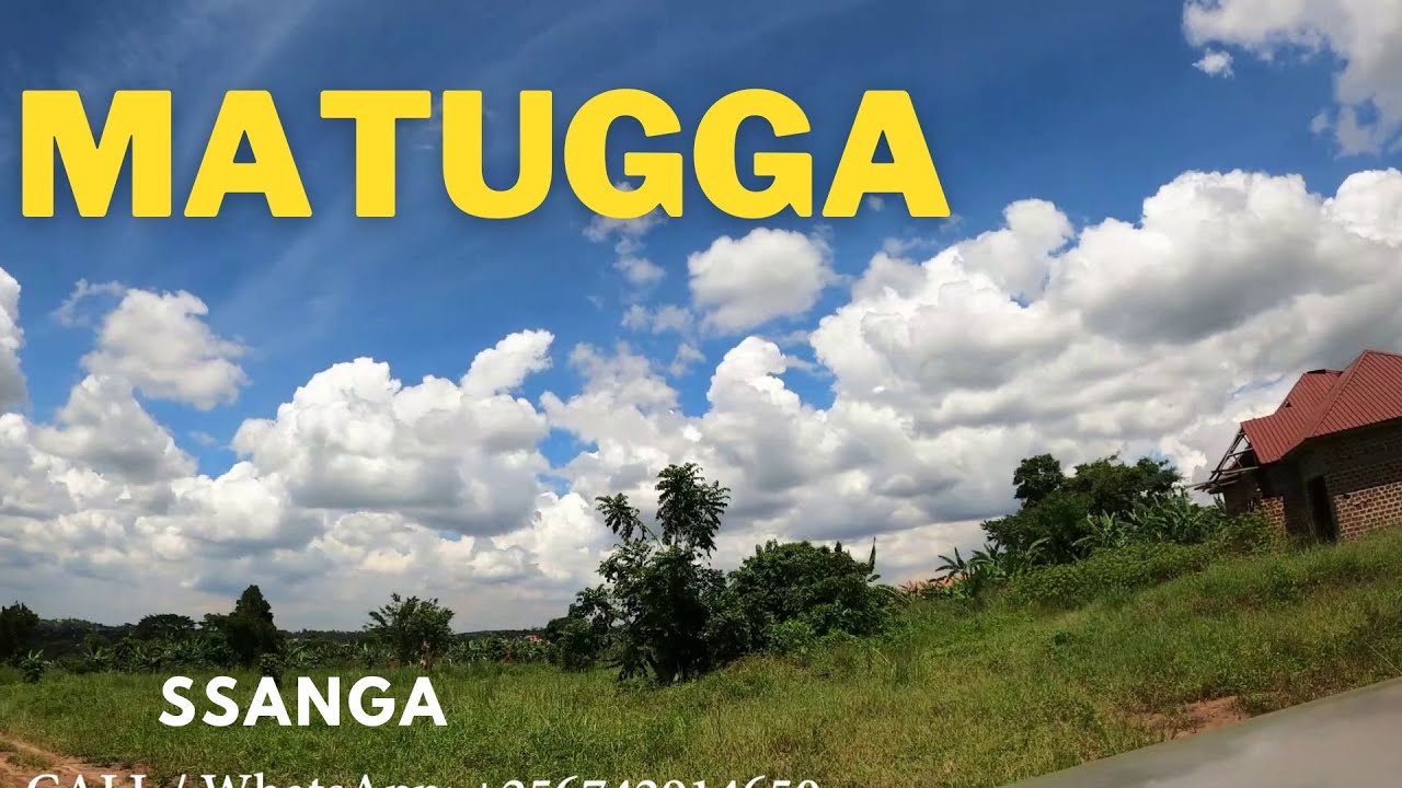 Plots of Land in Ssanga Matugga | Real Estate Uganda, UGX 25M - YouTube