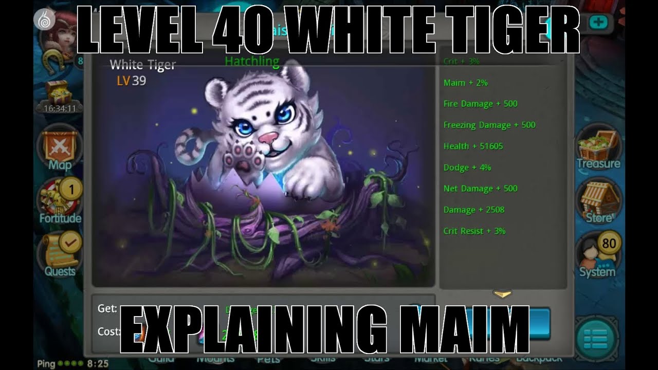 Taichi Panda | Maim | Level 40 White Tiger Demigod - YouTube