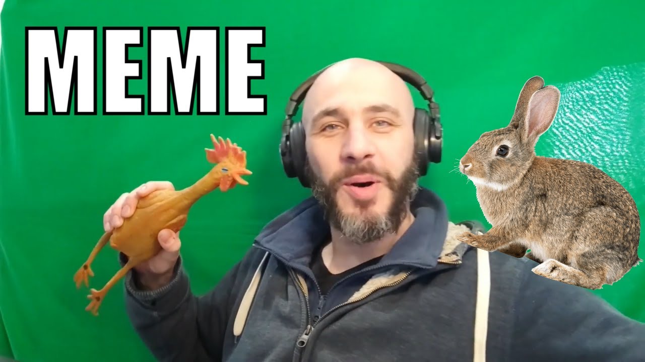 Conigli , forza bruta e divulgatori - Pollo commenta i MEME - YouTube