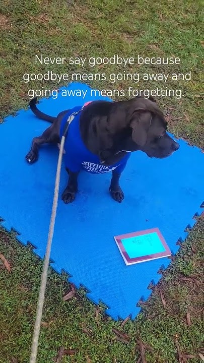 Never say goodbye because goodbye means going away and going away means ...