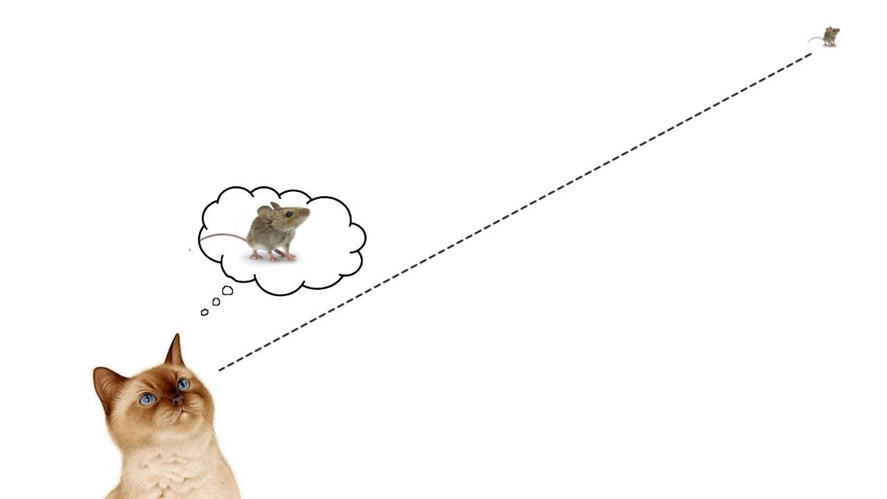 keen,sharp-sense ASL - YouTube