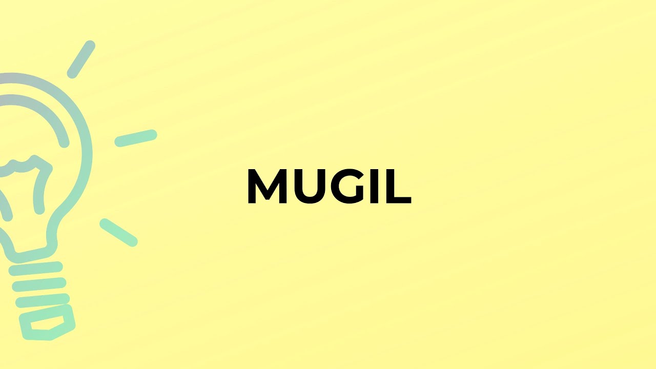 What is the meaning of the word MUGIL? - YouTube