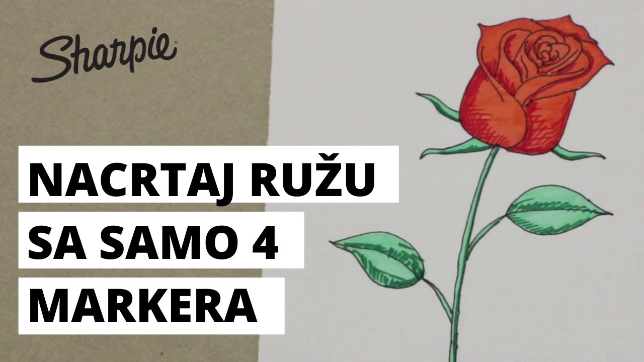 Evo kako se crta ruža sa samo 4 Sharpie markera - YouTube
