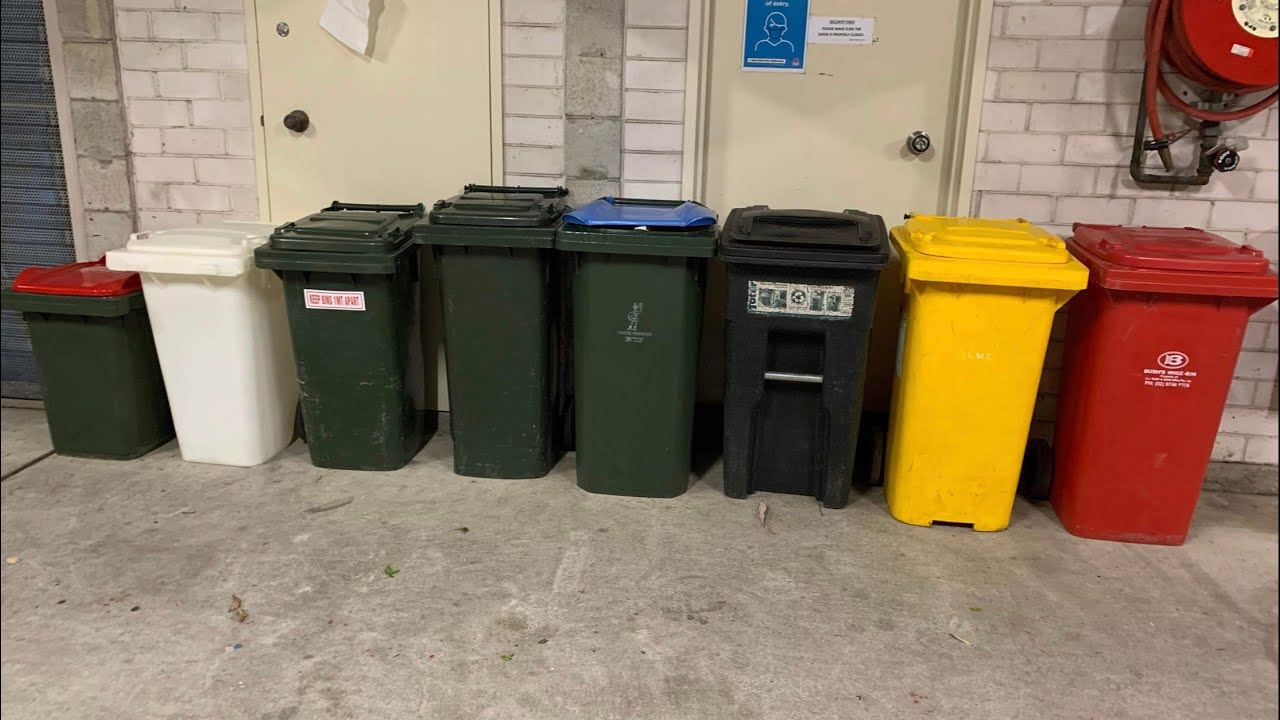 Bin update - YouTube