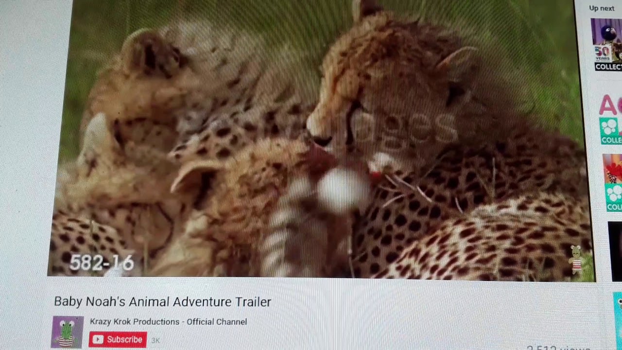 Baby Noah's Animal Adventure Trailer - YouTube