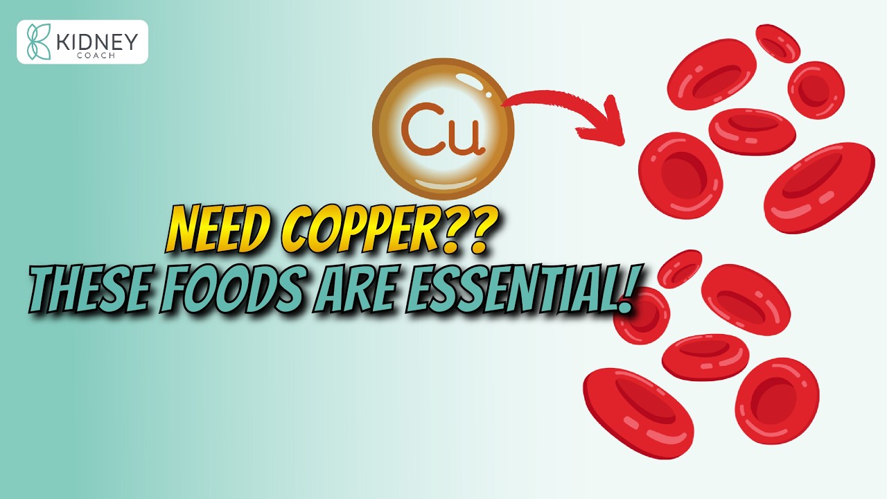 The Best Copper-Rich Foods to Include in Your Diet | High Copper Foods ...