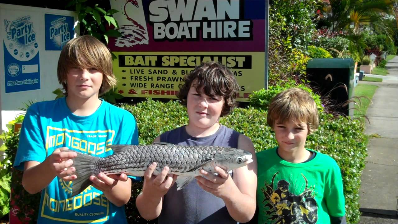 Diamond Scaled Mullet - YouTube