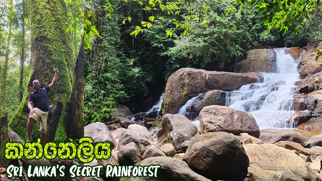 Exploring Kanneliya Rainforest - A 9KM Trail with Streams, Waterfalls ...