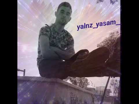 Yalnz yasam