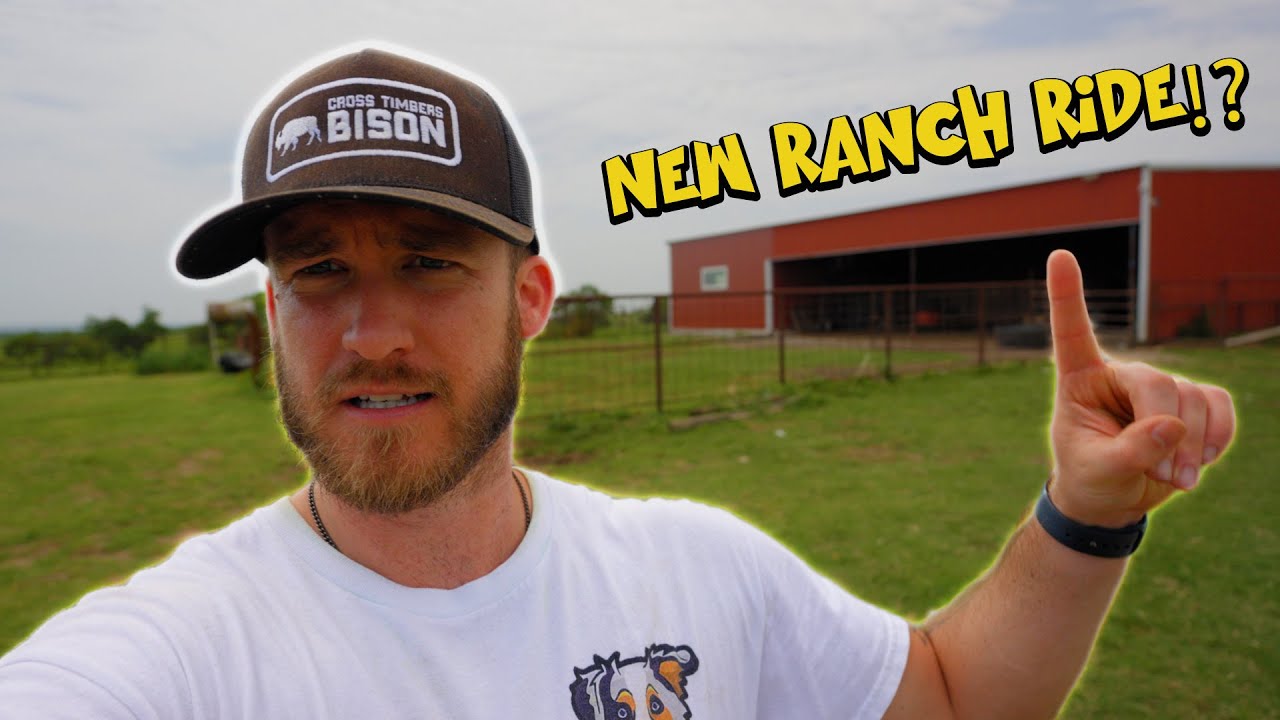 Cross Timbers Bison - A Day In The Life of a Bison Rancher - YouTube