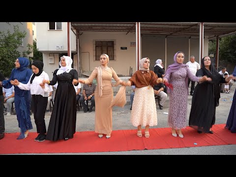 Xelef Halayı - Mardinlilerin Düğünü - Kurdish Wedding - Tofan Erdal