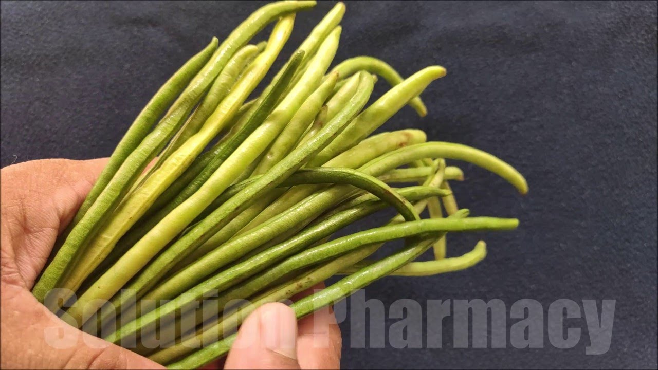 Health Benefits of Barbatti (Cowpea-Long Green Pea) = बरबट्टी की सब्जी ...