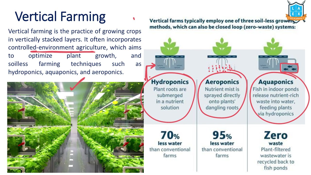 What is Vertical Farming? || Vertical Farming అంటే ఏమిటి? || La ...