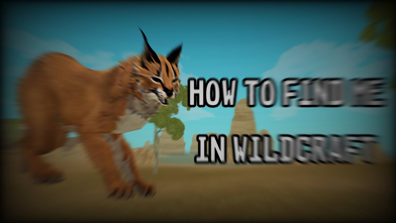 Wildcraft: How To Find Me | Read Description - YouTube