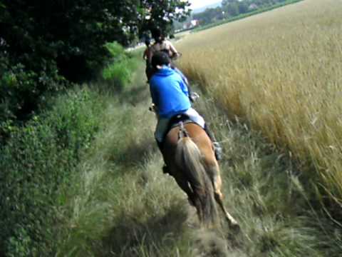 Wersche Gut-Stockum Sommer 2009