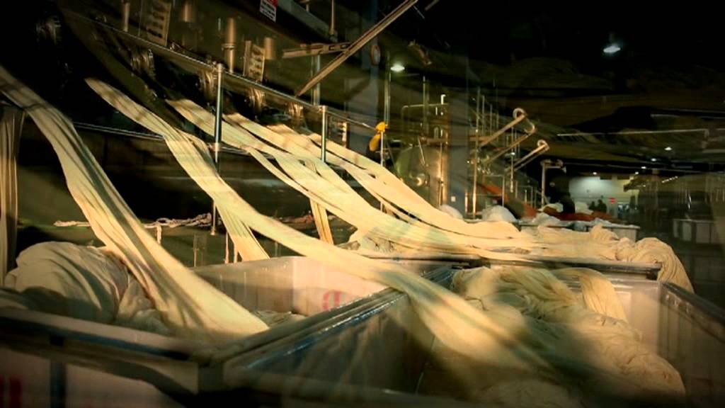 South Asia textile Industries Lanka (Pvt) Ltd - YouTube