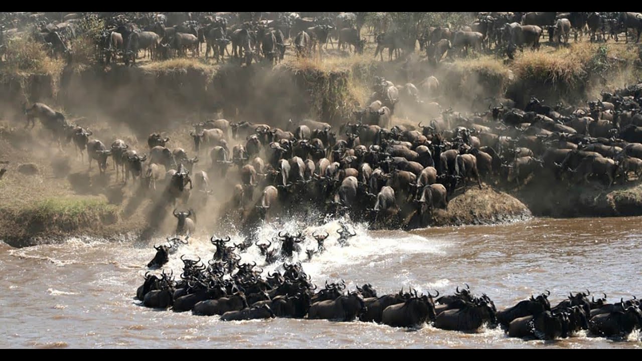 Tanzania Forestry Research Institute (TAFORI) – Tanzania Forestry ...