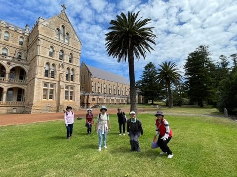 雪梨國際管理學院 (ICMS) , 曼利山上的古堡（ Manly Castle）雪梨歡樂健行 2022.12.02 Anita - YouTube