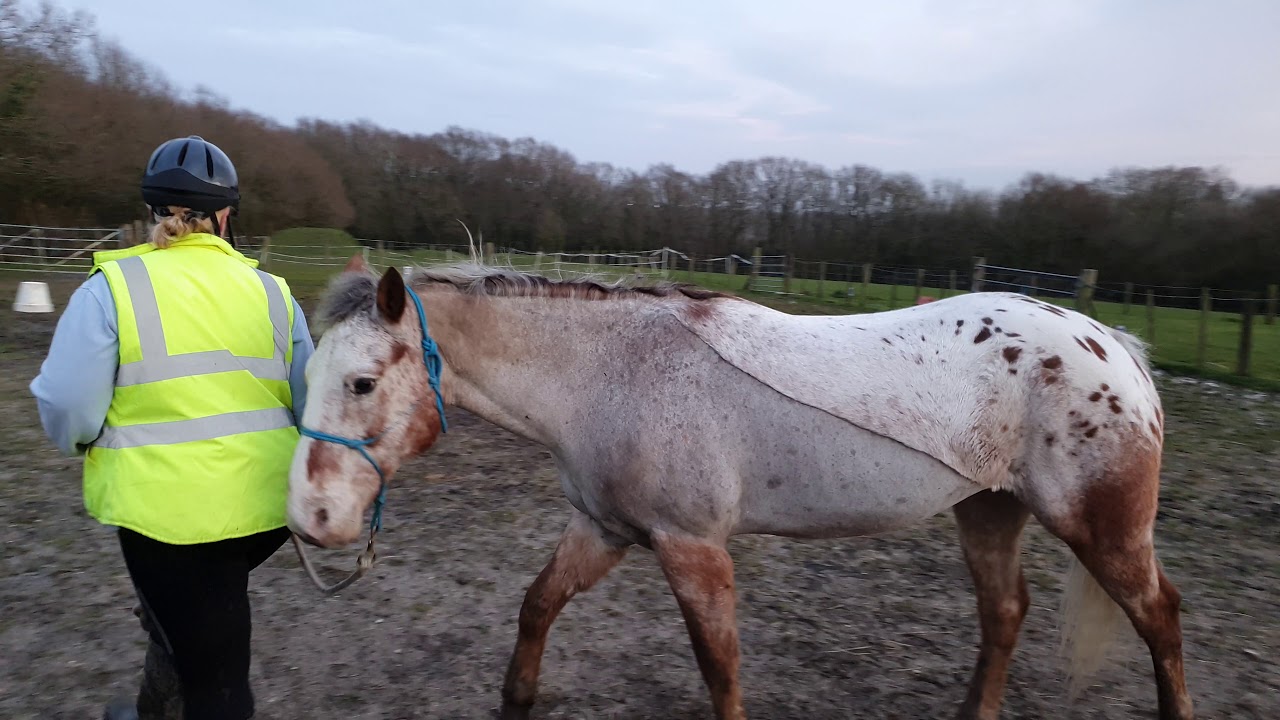 SGray Wills Feb Class 1 part 1 - YouTube