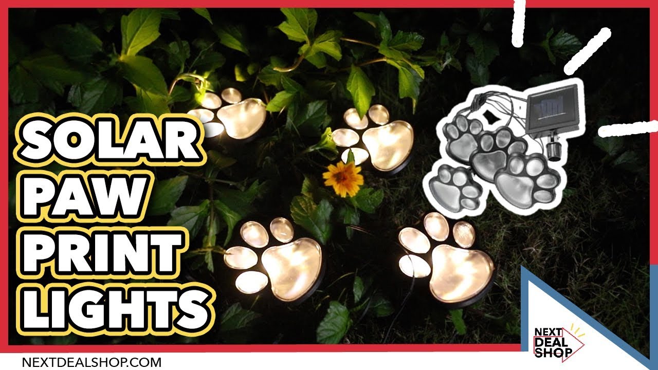 Garden Lighting Idea! - Solar Paw Print Light - Next Deal Shop - YouTube