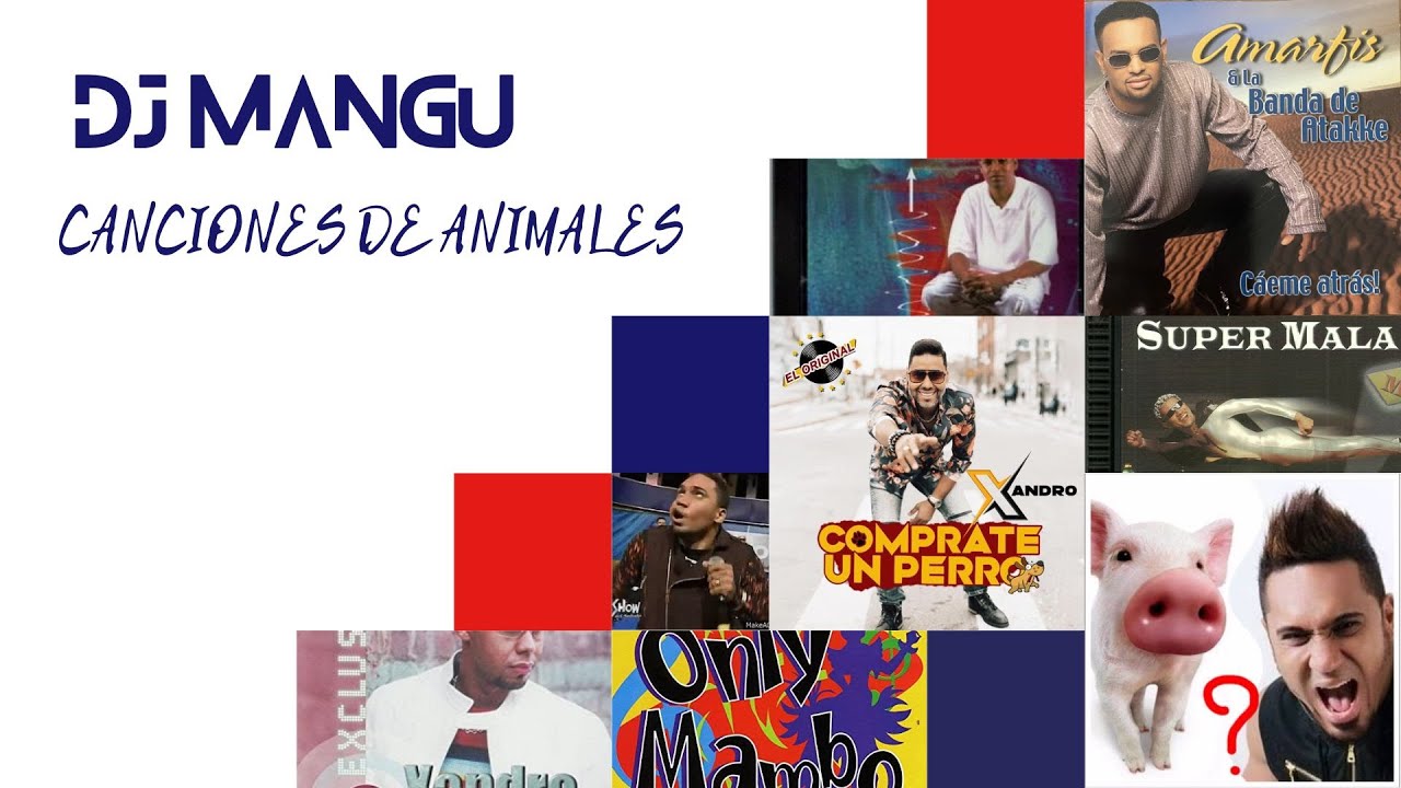 DJ MANGU - CANCIONES DE ANIMALES MIX - YouTube