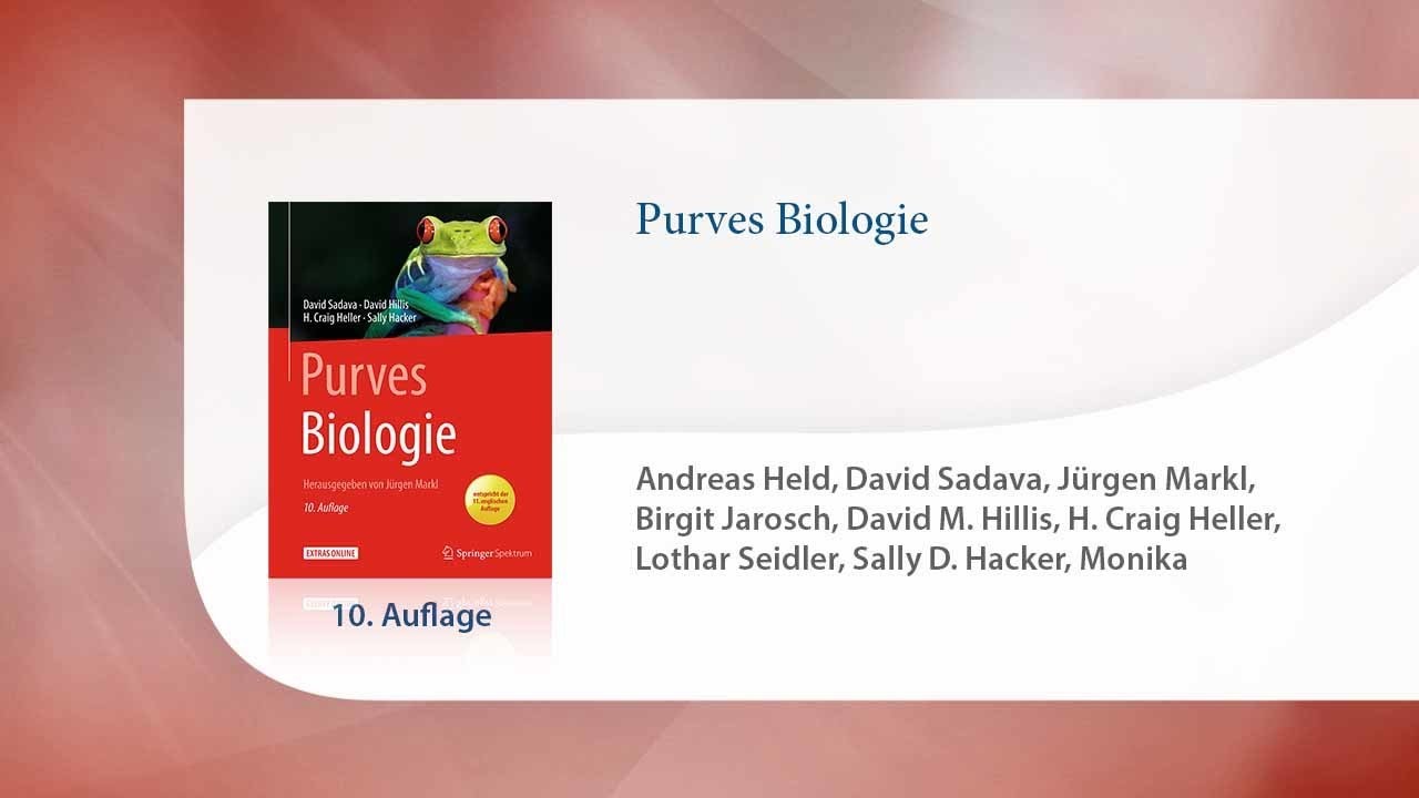 Purves Biologie - YouTube