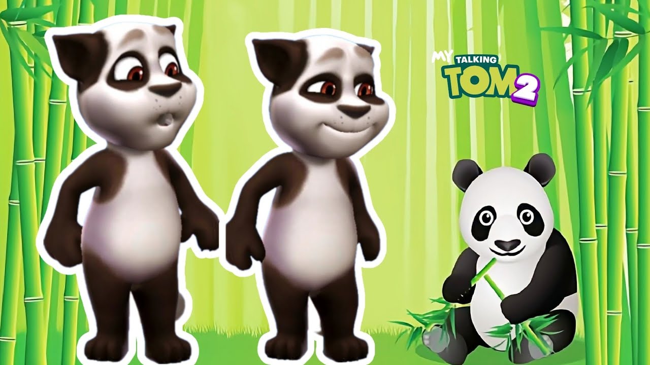 Tom Panda vs Panda 🐼 My Talking Tom 2 #mytalkingtom2 - YouTube