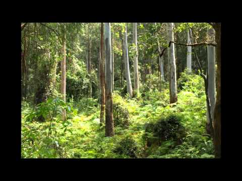 Happy Birthday Caro!!! xxx