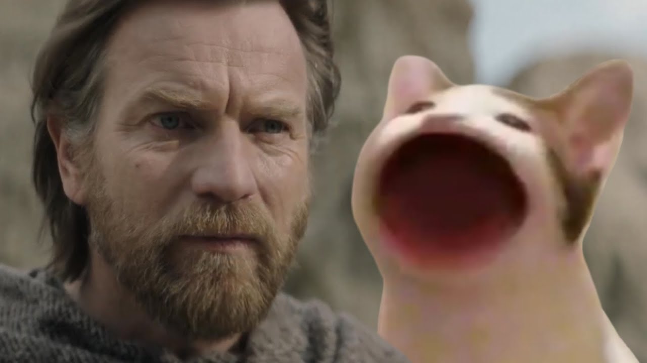 Pop-Cat Kenobi - YouTube