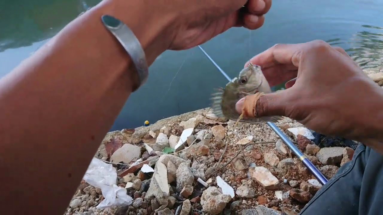 Mancing LIBAM atau IKAN BARONANG - YouTube