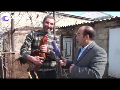 Coratda 3 min manata xoruz satılır))