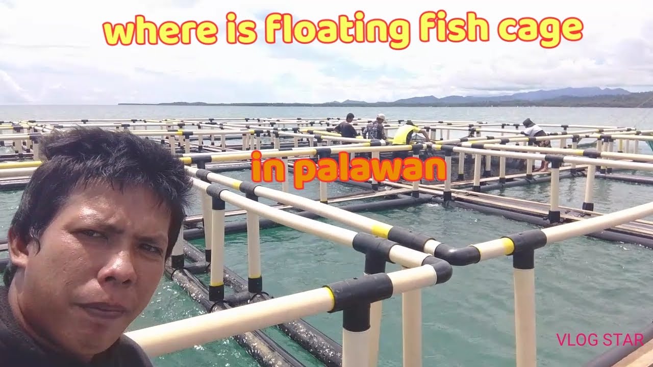 AMAZING ARTWORKS|| PVC PIPE FLOATING FISH CAGE - YouTube