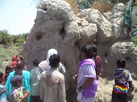Regarding magir baba jatra - YouTube