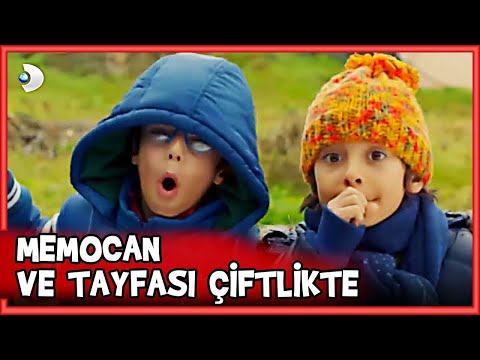 Memocan ve Arkadaşları ÇİFTLİKTE - Küçük Ağa 9. Bölüm