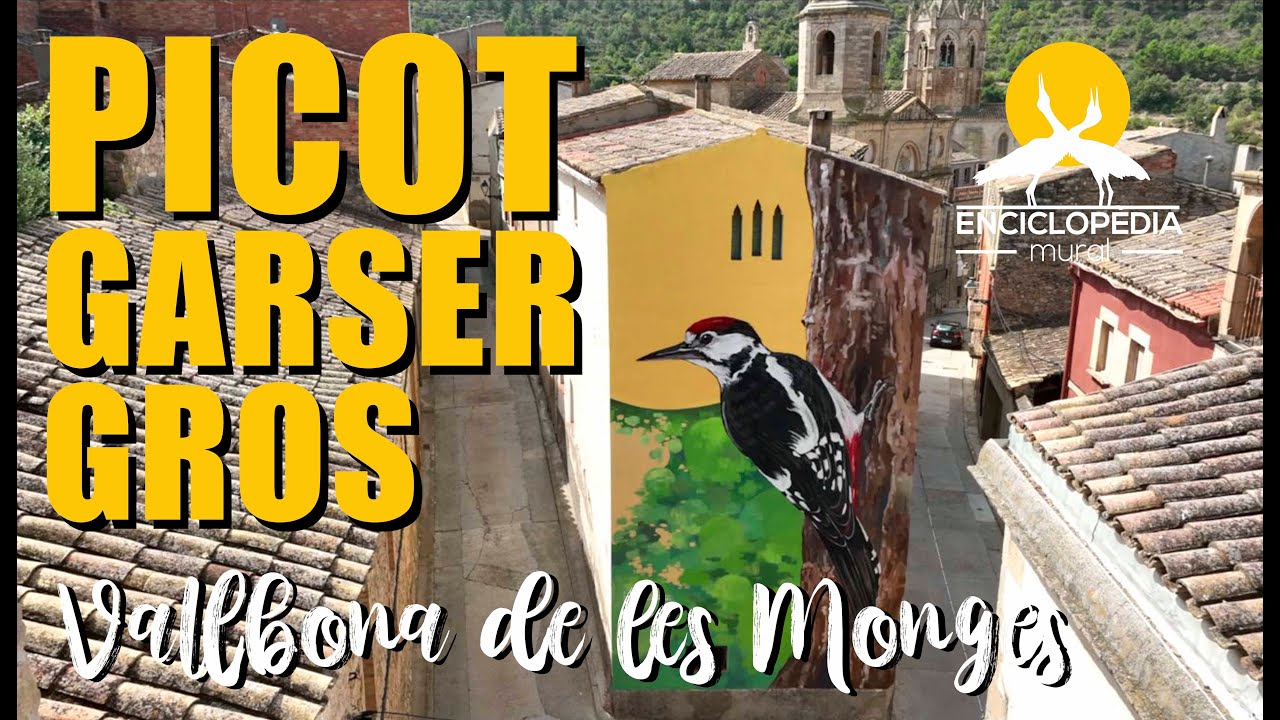 PICOT GARSER GROS - Enciclopèdia Mural a Vallbona de les Monges - YouTube