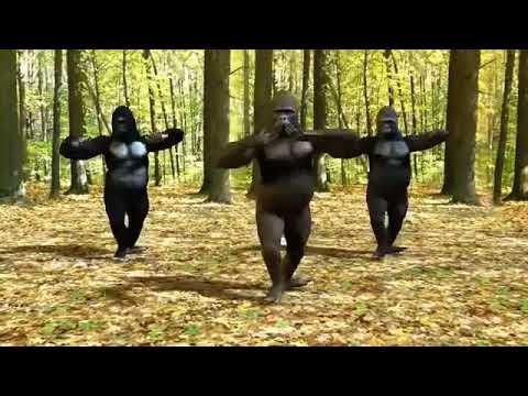 Gorilla Dance Meme 1 Youtube 4688