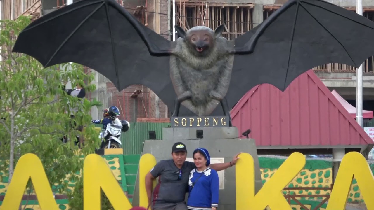 Ribuan Kalong (Kelelawar) bergantungan di Taman Kalong Kabupaten ...