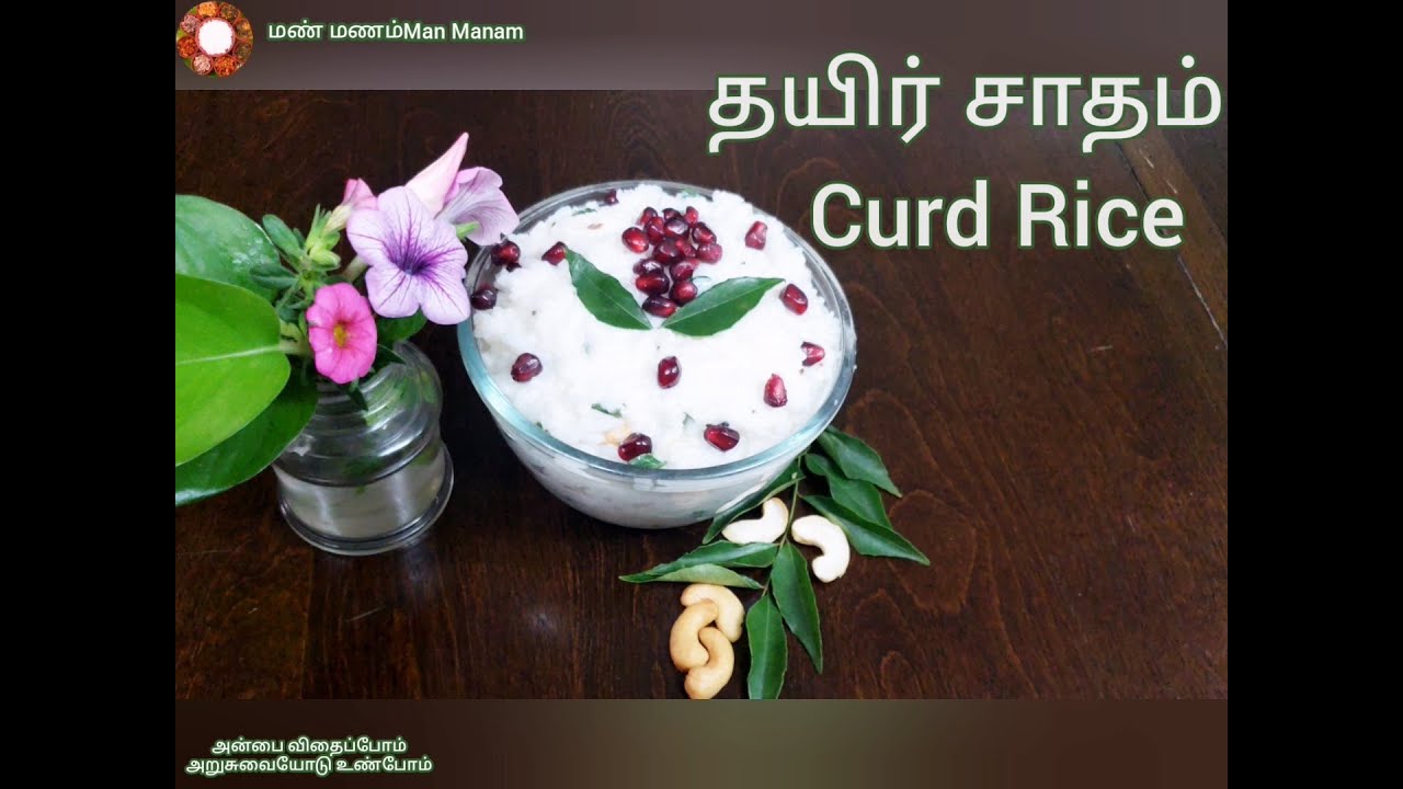 Curd Rice | Recipe | Thayir Sadam | in Tamil | Curd Rice | தயிர் சாதம் ...