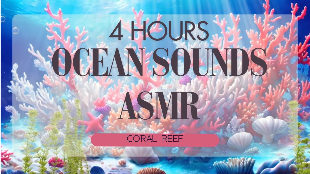 Coral reef ocean waves ASMR sleep sounds - YouTube