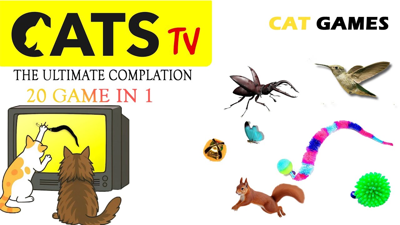 CAT GAMES 🐾 3D Cat TV Frenzy – Lizard Zoom • Mouse Chase • Bird Dash! 😺 ...